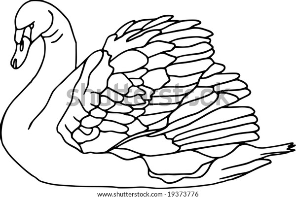 Vector Contour Swan Isolated On White Stock Vector (Royalty Free) 19373776