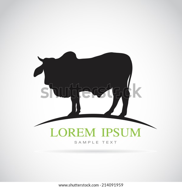 Vector de diseño de vaca sobre fondo blanco. Vector de vaca para tu diseño.