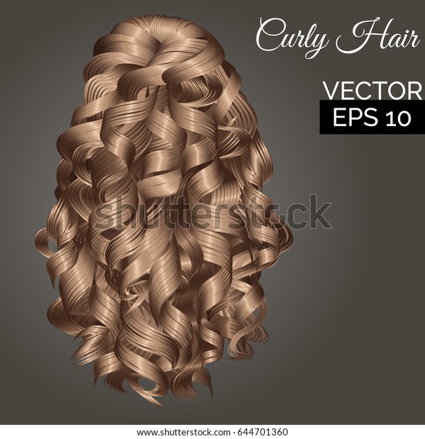 Vector Curly Hair Back View Beautiful Stock Vector (Royalty Free ...