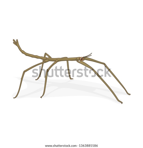 Vector Cute Cartoon Clip Art Stick Stock Vector (Royalty Free ...