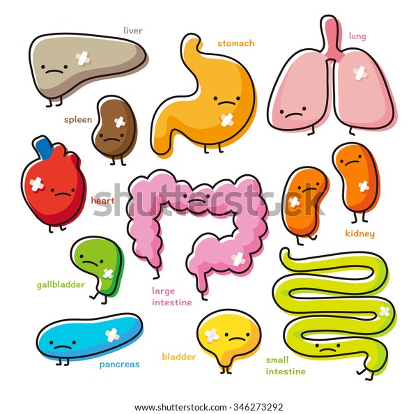 Vector Caricatura Sagrada órganos Lesionados De Fondo Blanco