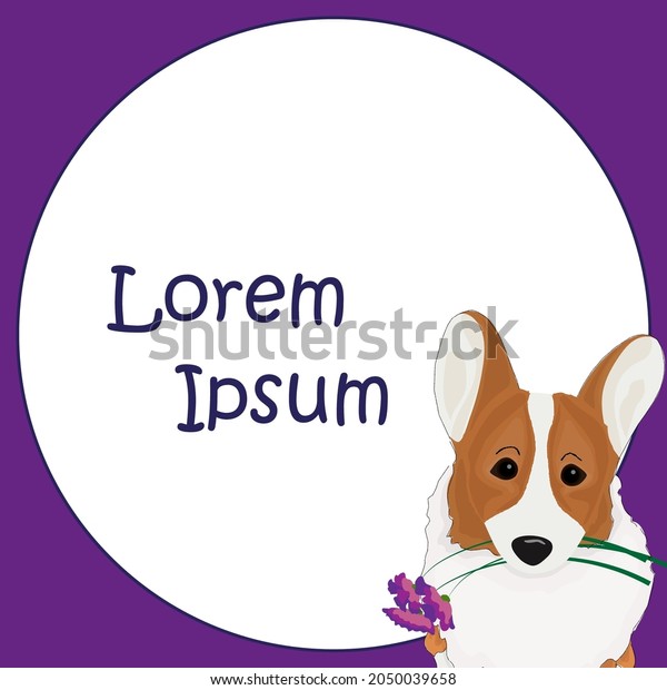 Vector Cute Frame Lettering Congratulations Corgi Stock Vector (Royalty ...