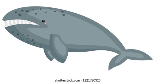Vector Cute Gray Whale Stock Vector (Royalty Free) 1221720325 ...