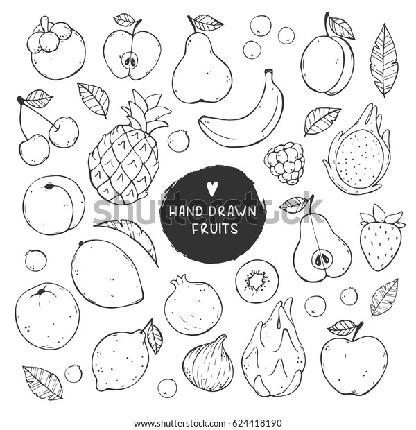 Vector Cute Illustrations Fruits Cute Doodles Stock Vector (Royalty ...