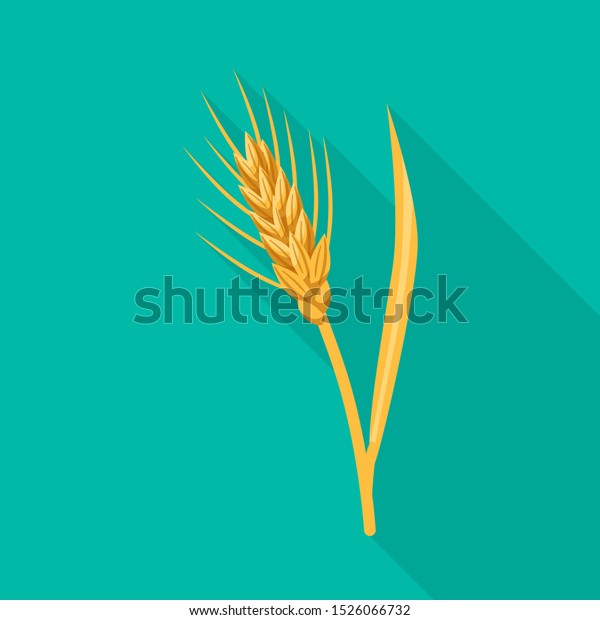 Vector Design Barley Sheaf Symbol Web Stock Vector (Royalty Free ...