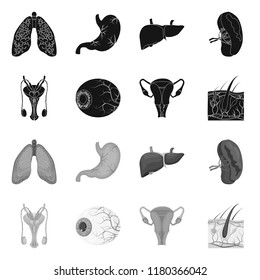 Internal Organs Human Blackmono Icons Set Stock Vector (Royalty Free ...
