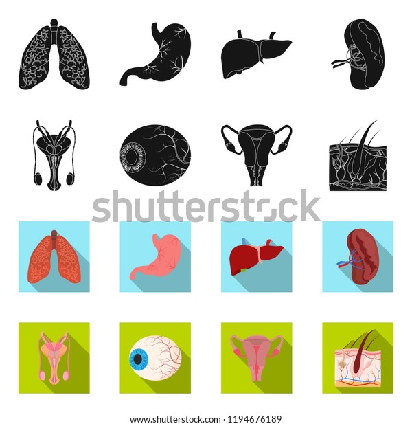 Vector Design Body Human Symbol Set Stock Vector (Royalty Free ...