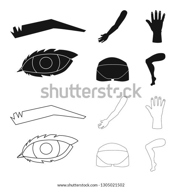 Vector Design Body Part Symbol Set Stock Vector (Royalty Free ...