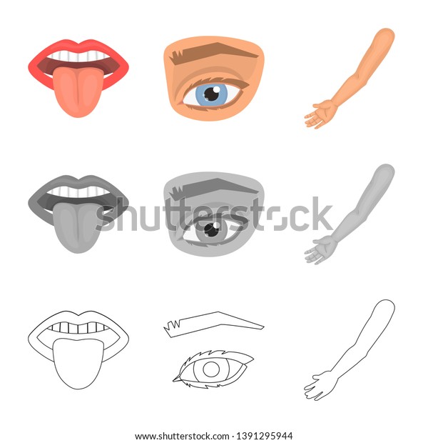Vector Design Body Part Symbol Collection Stock Vector (Royalty Free ...