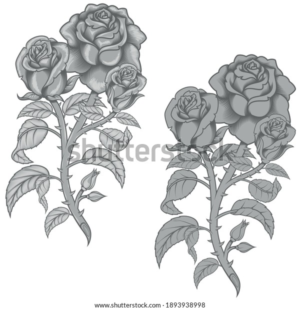 318,907 Flower Thorn Images, Stock Photos & Vectors | Shutterstock