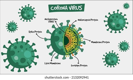 Vector Design Corona Virus Sars Cov Stock Vector (Royalty Free ...