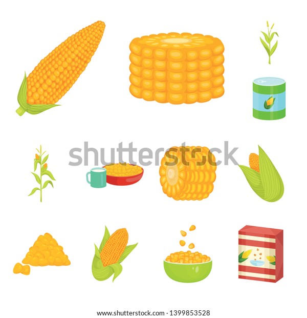 Vector Design Maize Food Icon Collection Stock Vector (Royalty Free ...
