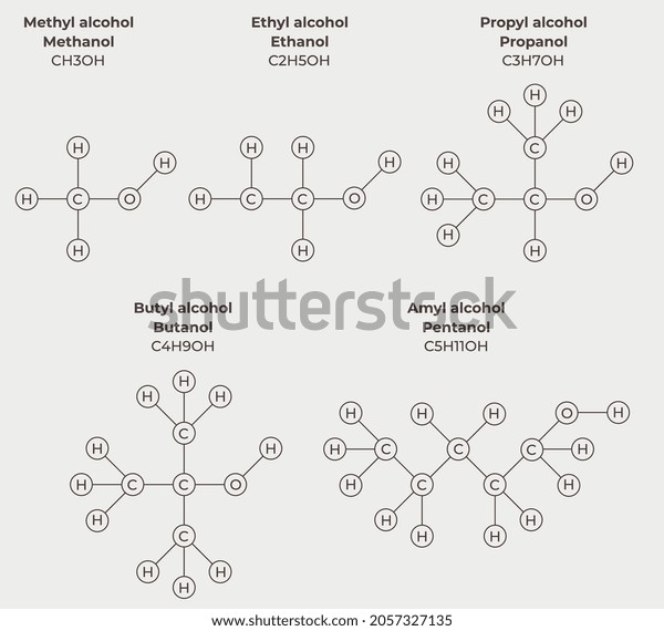 Vector Diagram Organic Compounds Stock Vector (Royalty Free) 2057327135 ...