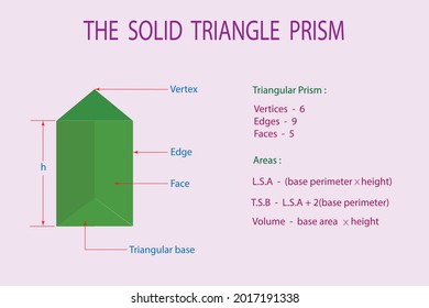 Vector Diagram Show Different Parts Triangular Stock Vector (Royalty ...