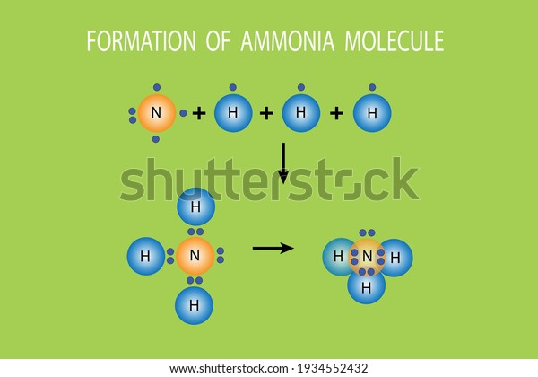Vector Diagram Show Formation Ammonia Molecule: เวกเตอร์สต็อก (ปลอดค่า ...