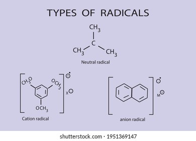 Vector Diagram Show Types Radicals Stock Vector (Royalty Free ...