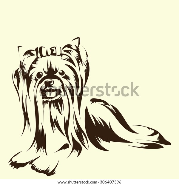 Vector Dog Yorkshire Terrier Stock Vector (Royalty Free) 306407396 ...