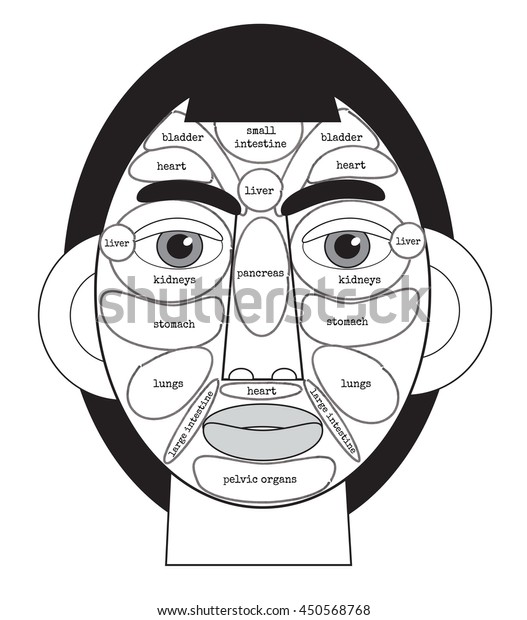 Vector Drawing Acupuncture Areas On Face 스톡 벡터(로열티 프리) 450568768 ...