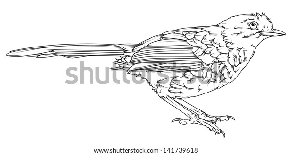 Vector Drawing Bird Line Drawinglittle Bird Stock Vector (Royalty Free ...