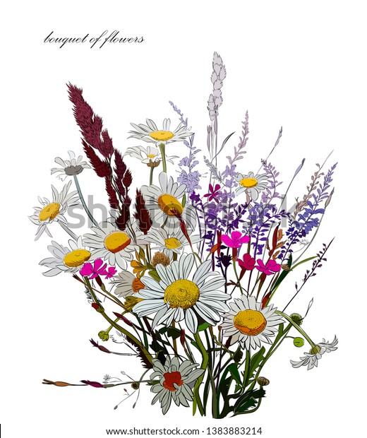 Vector Drawing Bunch Daisies Graphic Colour Stock Vector (Royalty Free ...