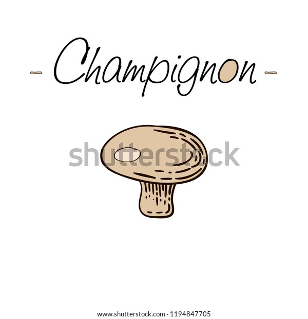 Vector Drawing Champignon Color Sketch By Stock Vector (Royalty Free ...
