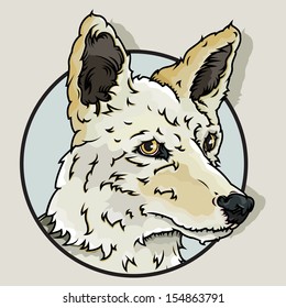 Vector Drawing Coyote Head Coyote Head Stock Vector (Royalty Free ...