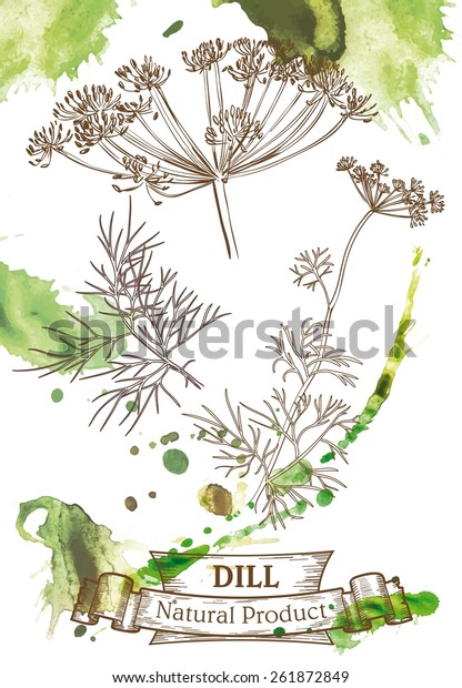 Vector Drawing Dill Leaves Which Located Stock Vector (Royalty Free ...