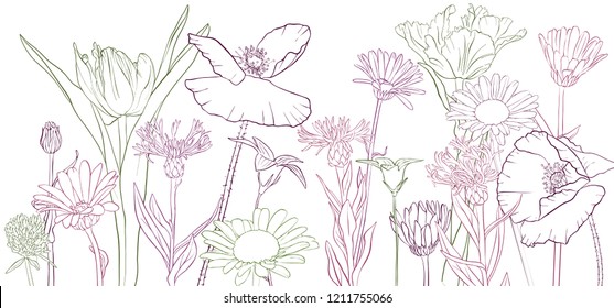Vector Drawing Flowers Floral Composition Hand Stock Vector (Royalty ...