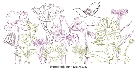 Vector Drawing Flowers Floral Composition Hand Stock Vector (Royalty ...