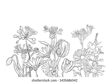 Vector Drawing Flowers Floral Composition Hand Stock Vector (Royalty ...