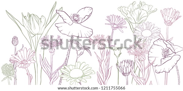 Vector Drawing Flowers Floral Composition Hand Stock Vector (Royalty ...