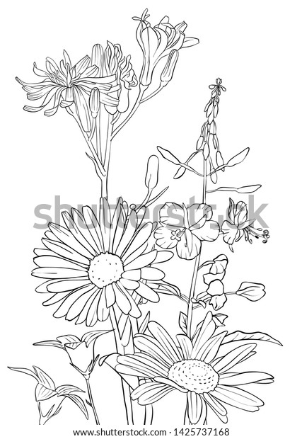 Vector Drawing Flowers Floral Composition Hand Stock Vector (Royalty ...