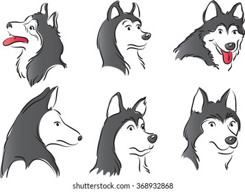 Vector Drawing Husky Dog Stock Vector (Royalty Free) 368932868 ...