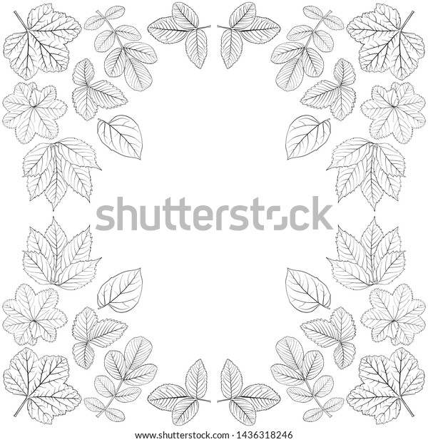 Vector Drawing Leaves Decorative Framee Stylized Stock Vector (Royalty ...