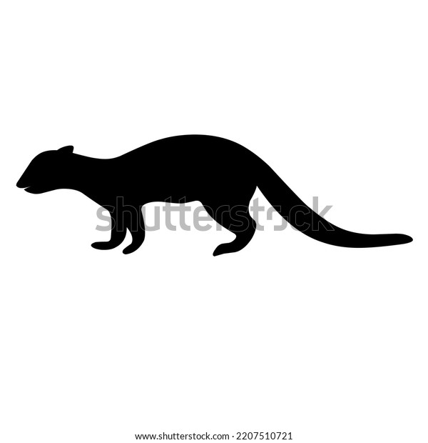Vector Drawing Outline Ink Marten Isolated Stock Vector (Royalty Free ...