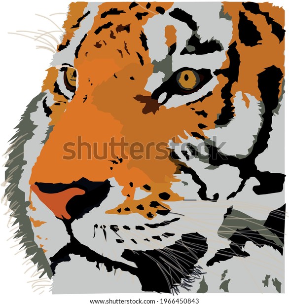 Vector Drawing Realistic Noble Tiger Stock Vector (Royalty Free ...