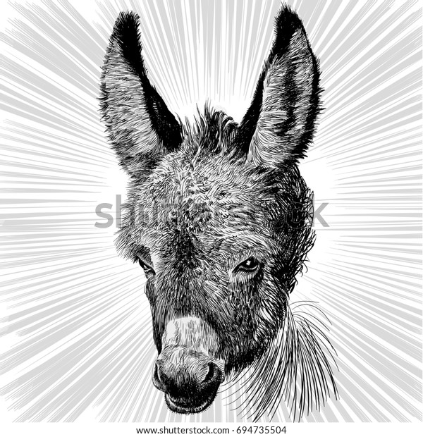 Vector Drawing Sad Donkey Stock Vector (Royalty Free) 694735504 ...