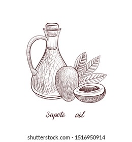 54 Sapota hand drawn Images, Stock Photos & Vectors | Shutterstock