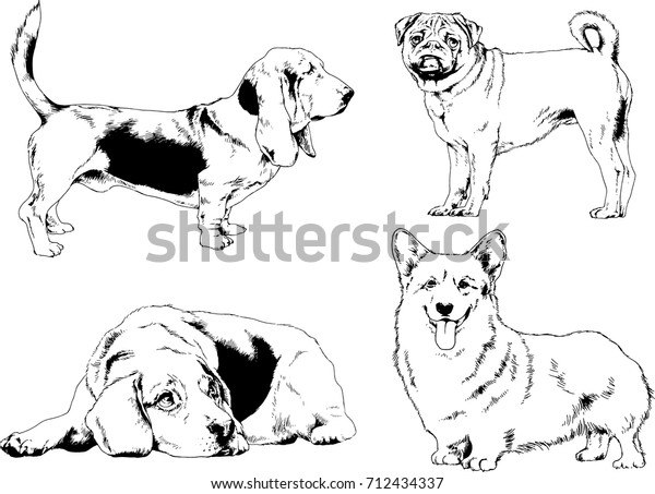 Vector Drawings Purebred Dog Handdrawn Symbol Stock Vector (Royalty ...