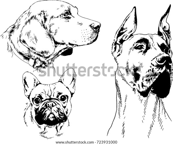 Vector Drawings Purebred Dog Handdrawn Symbol Stock Vector (Royalty ...