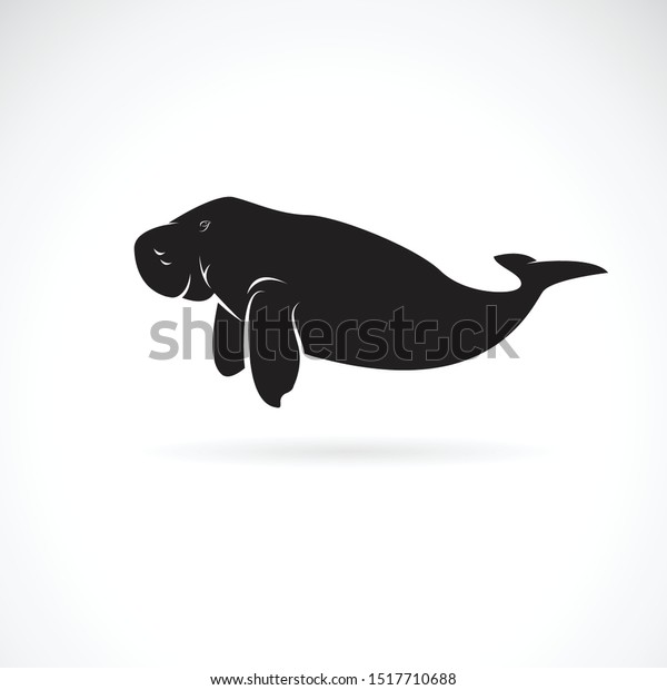 Vector Dugong Design On White Background Stock Vector (Royalty Free ...