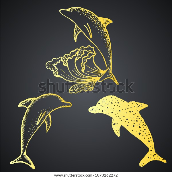 Vector Engraving Golden Dolphins Black Background: เวกเตอร์สต็อก (ปลอด ...