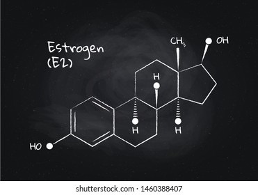 Vector Estrogen Structure Banner Illustration Hormone Stock Vector ...