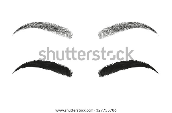 Vector Eyebrows Realistic Cartoon Style Stock Vector (Royalty Free ...