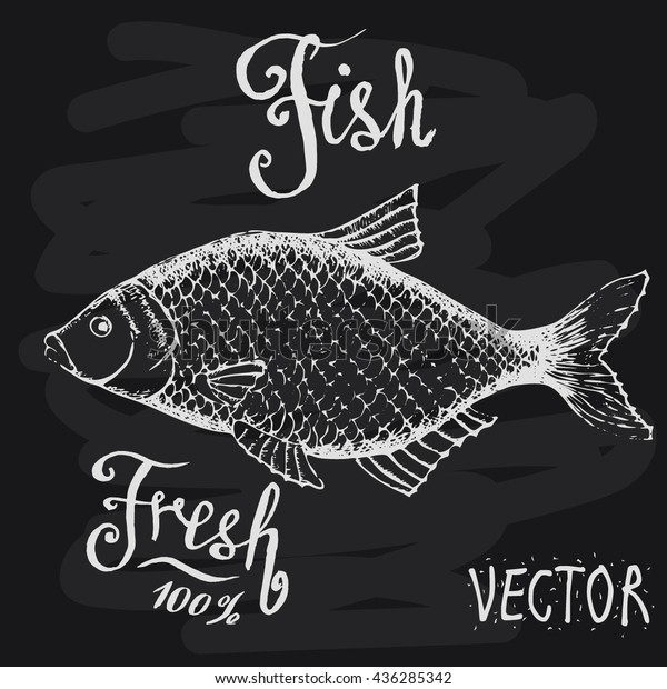 Vector Fish Sketch Drawn Chalk On Stock Vector (Royalty Free) 436285342