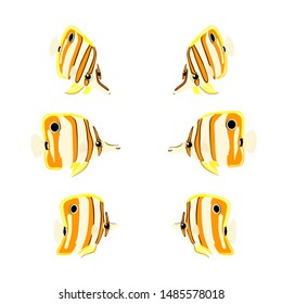 82 Chelmon rostratus Stock Illustrations, Images & Vectors | Shutterstock