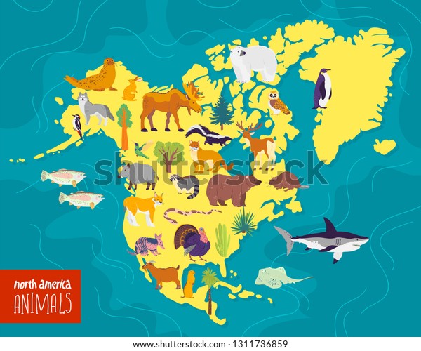 Vector Flat Illustration North America Continent Stock Vector (Royalty ...