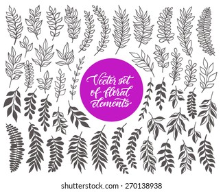 Vector Floral Set Graphic Collection Leaves Stock Vector (Royalty Free ...
