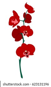 Vector Flower Tropical Red Orchid Branch Stock Vector (Royalty Free ...