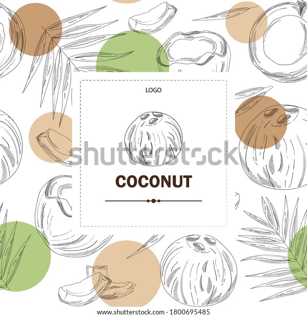Vector Frame Coconuts Tropical Leaves Vector Stock Vector (Royalty Free ...